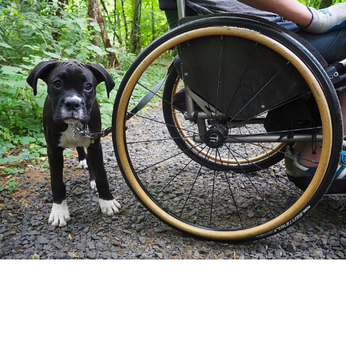 Hand Rims – Vapor Wheels